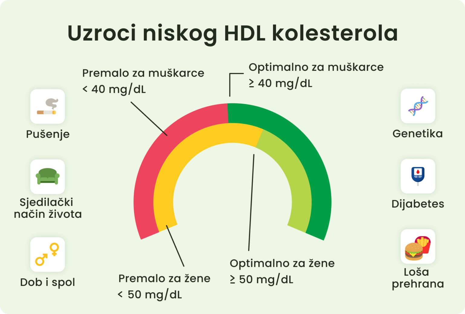 HDL kolesterol - LightFork